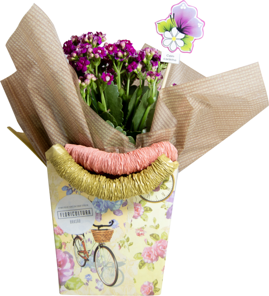 Brasão Avenida | Selo 87 - Kit Flor Encanto